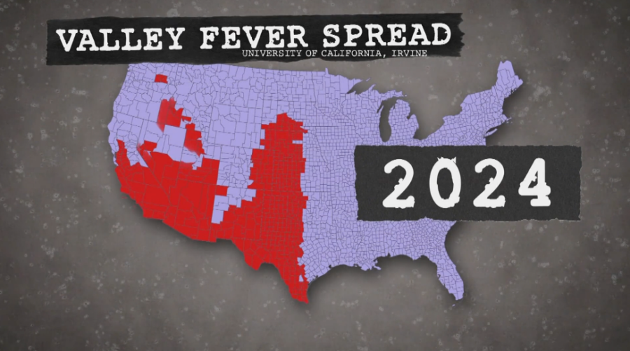 Why News Graphics Are Vital to Storytelling