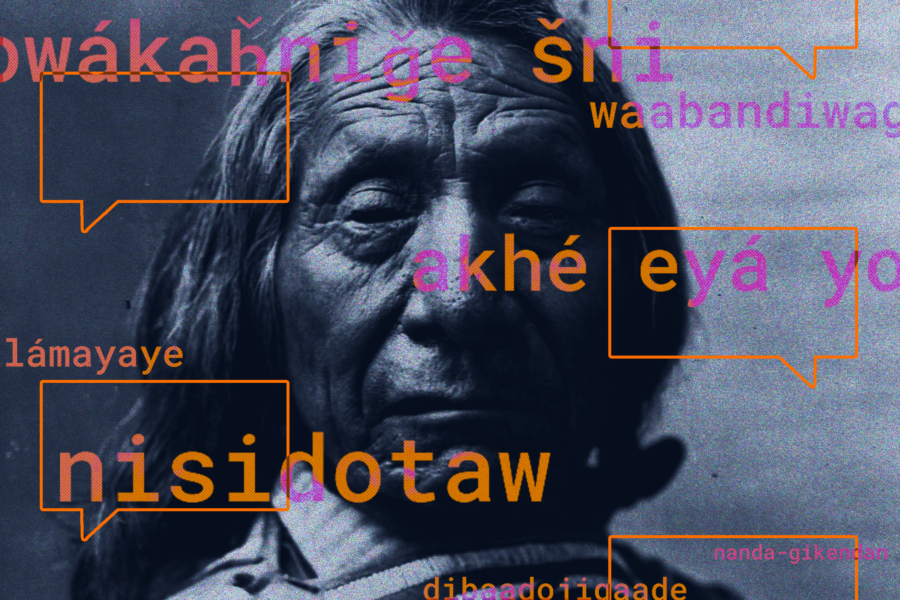 How AI Can Help Preserve Indigenous Languages
